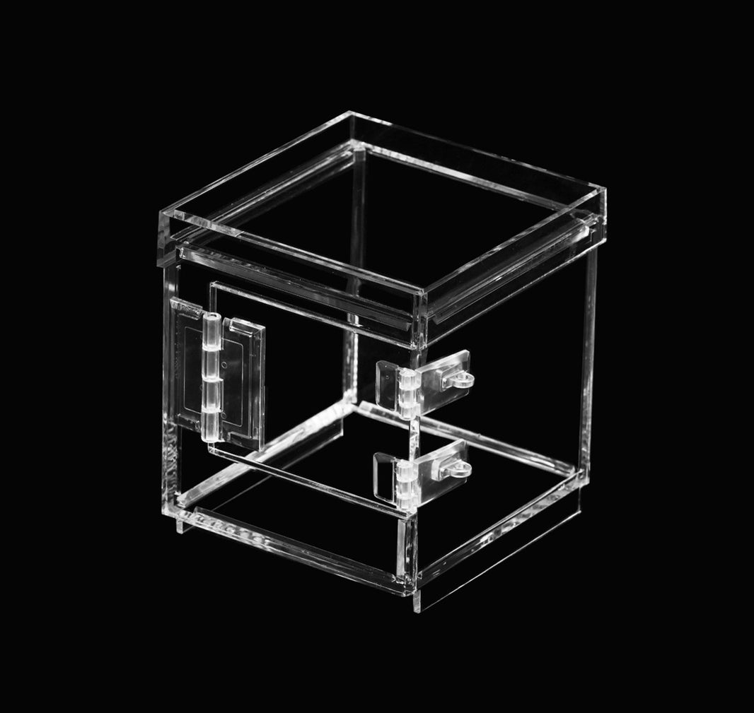 Acrylic Enclosures – Dockrill Habitats