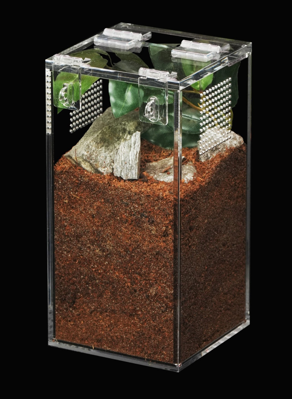 Acrylic Enclosures – Dockrill Habitats